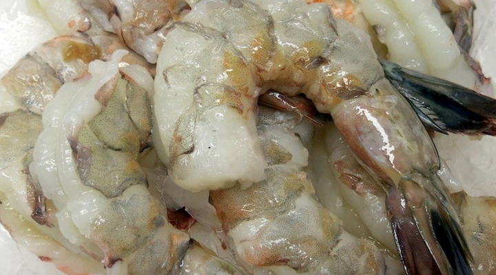 Extra Large Shrimp | 167 RAW